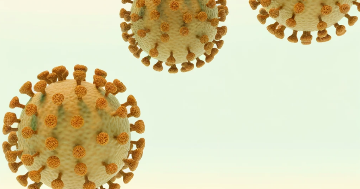 H5N1 Avian Flu: What Canadians Need to Know | Canada Healthwatch