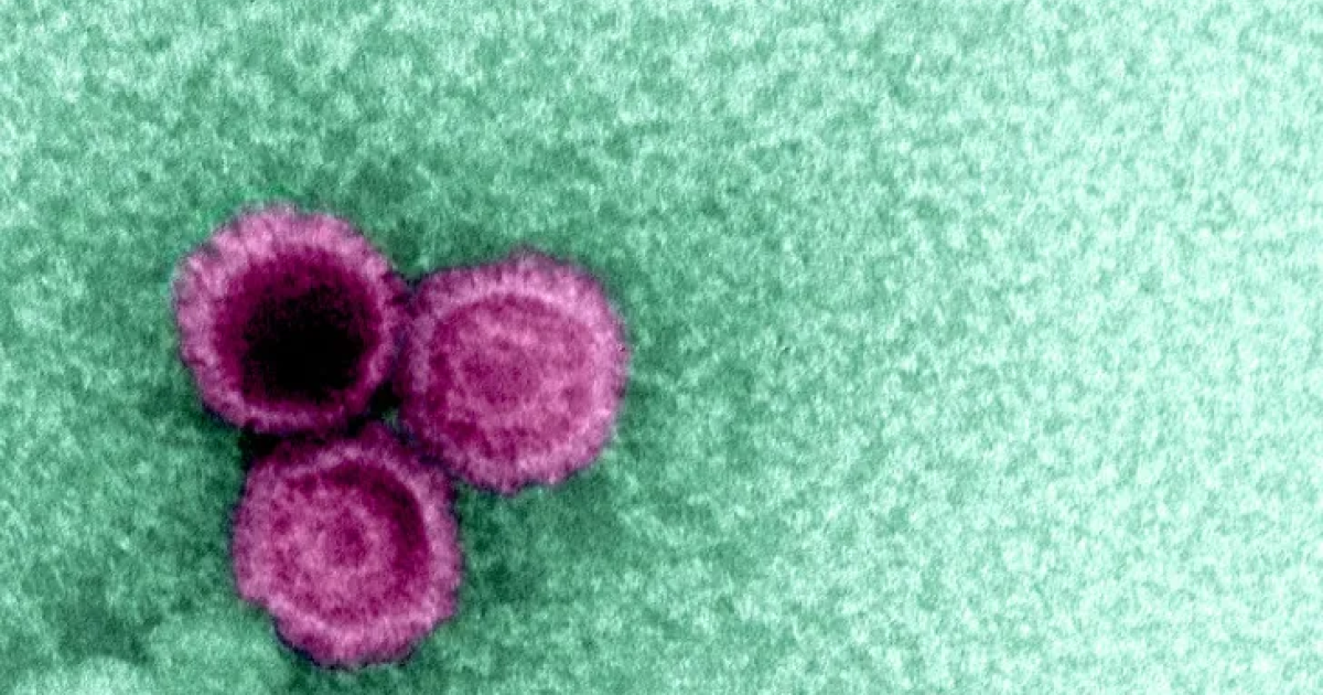 A silent virus might be causing major diseases